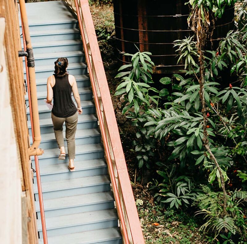 Support the Arts | Donkey Mill Art Center | Hawaii